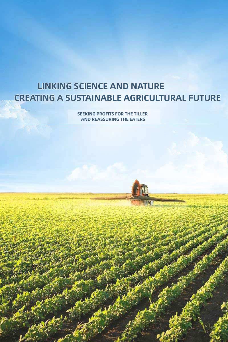 Board - Chengdu Newsun Crop Science Co., Ltd